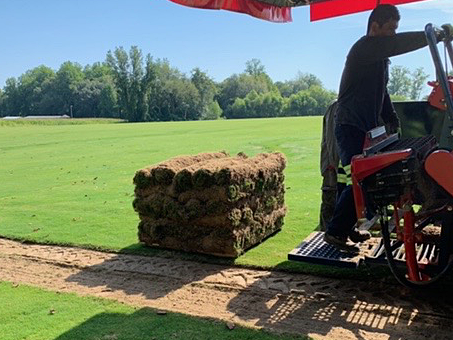 Southern Turf – Dupree Farms